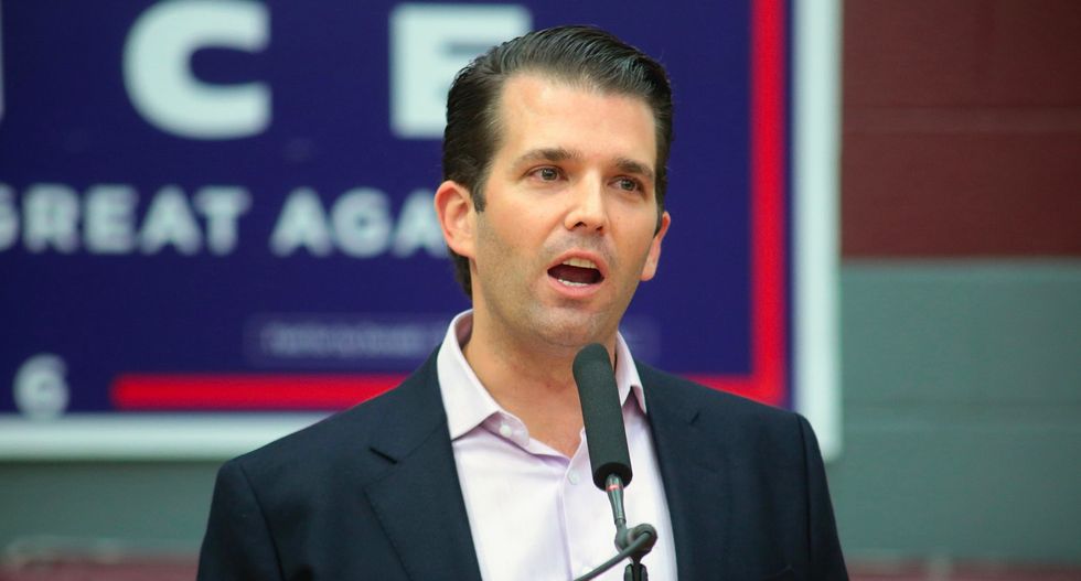 Legal expert argues Mueller showed Don Jr. committed computer fraud ...