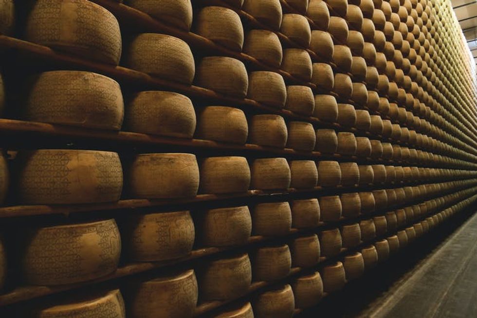 The Surprising Role Cheese Played in Human Evolution - Alternet.org