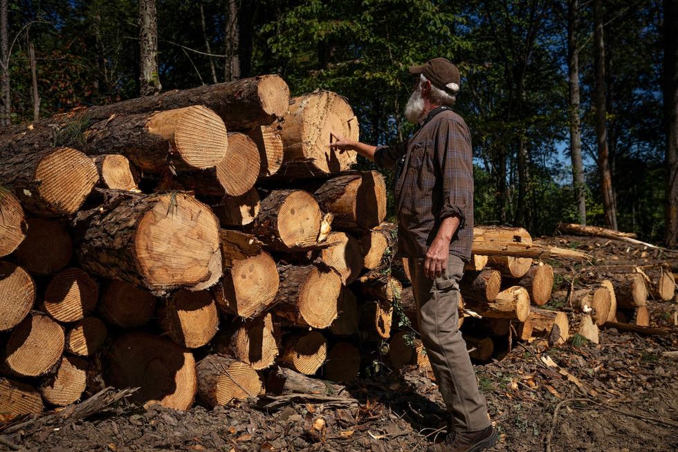 In Shawnee National Forest, a debate swirls around how to best protect ...